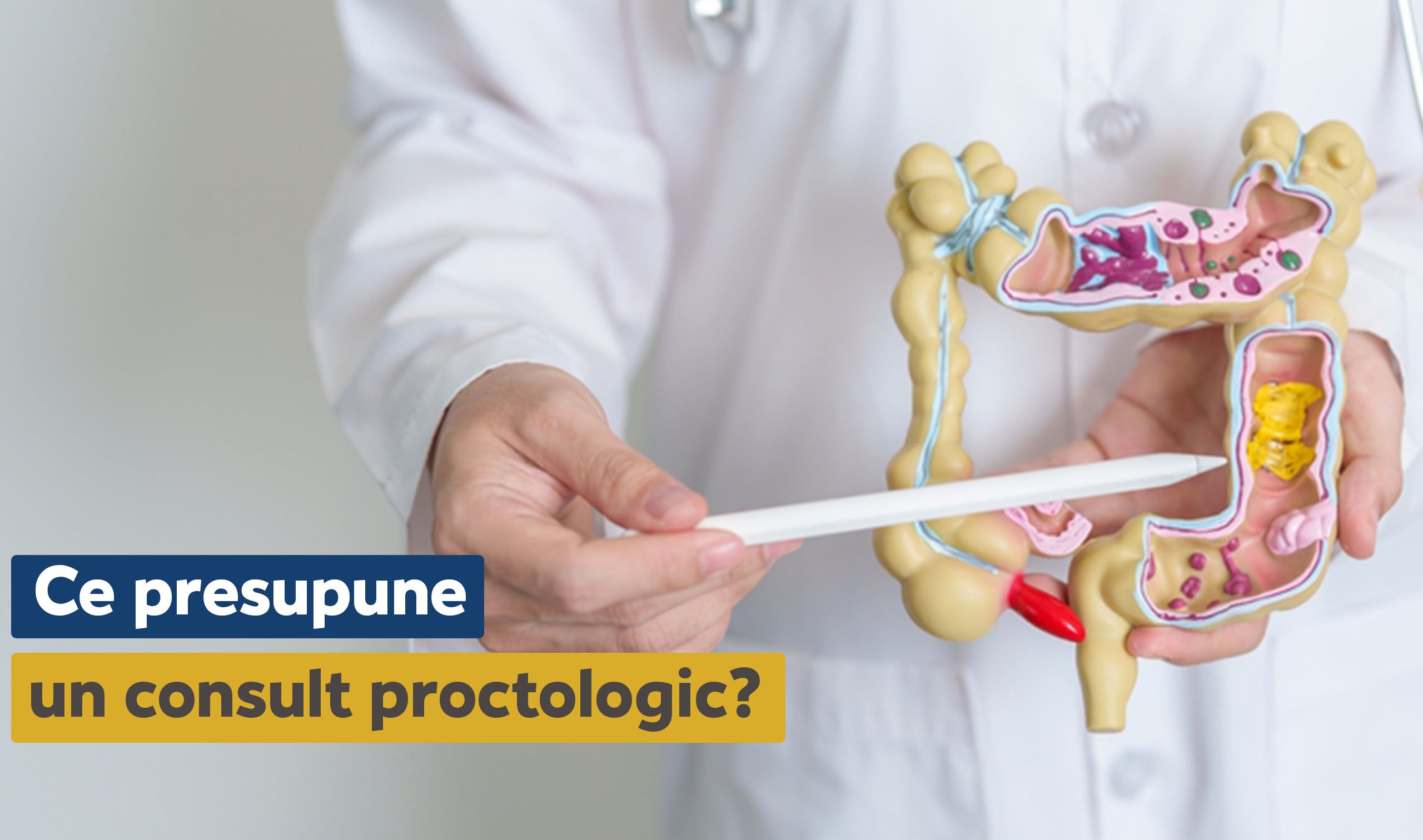 Ce presupune un consult proctologic? - Centrul Medical Anastasios